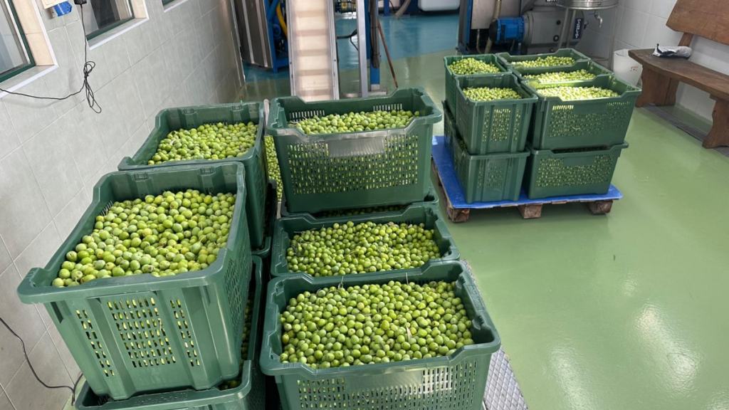 Orgula bilježi rekordnu preradu i najavljuje širenje na nova tržišta ...